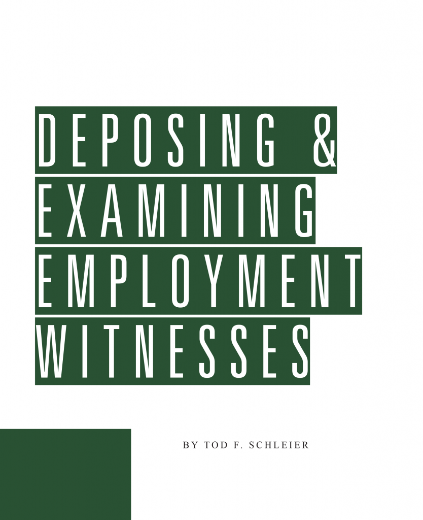 Deposing and Examining Employment Witnesses | Fastcase